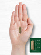 High potency ginkgo biloba 200 capsules