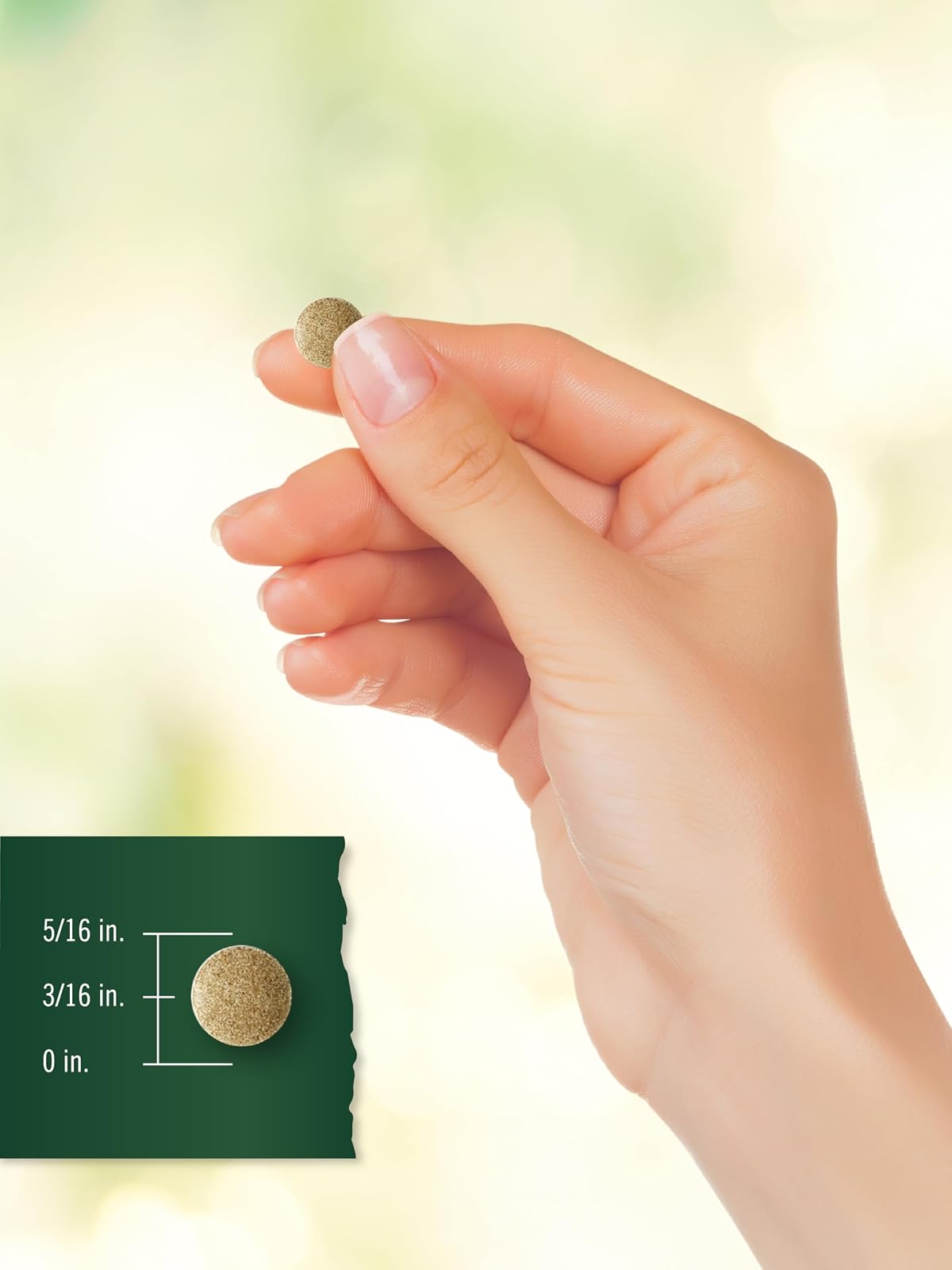 high potency ginkgo biloba capsules