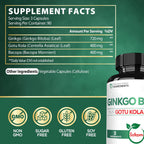 high potency ginkgo biloba extract