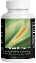 high potency ginkgo biloba supplement