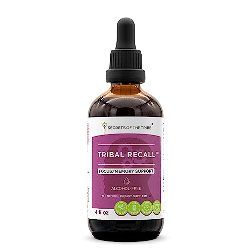 high-potency ginkgo biloba supplement