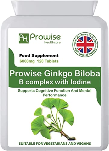 high potency ginkgo biloba supplement