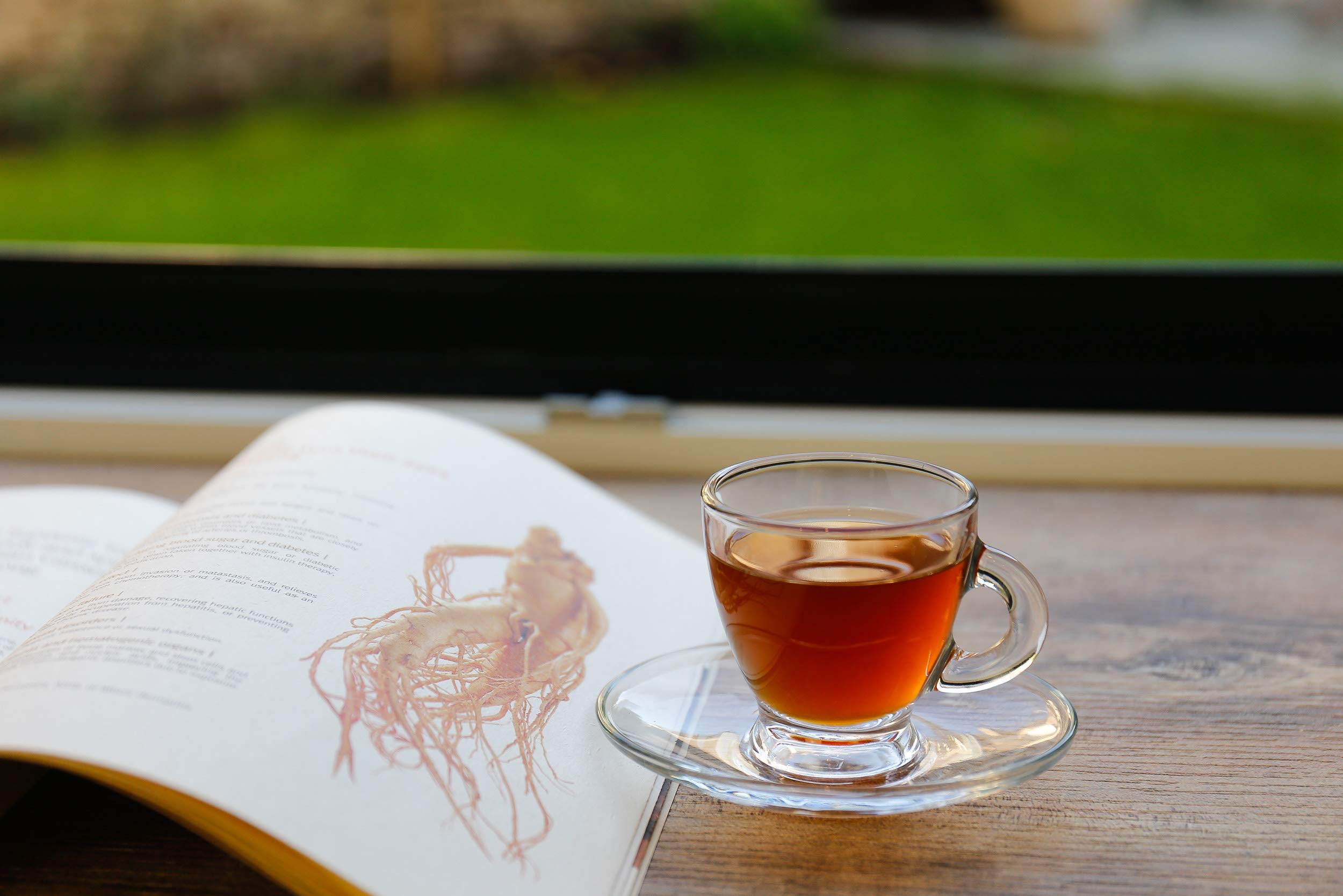 high potency ginseng supplement