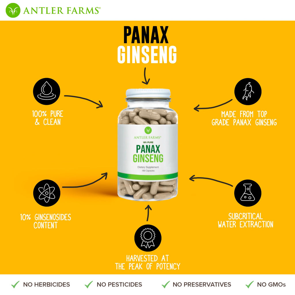 high potency ginsenosides in ginseng