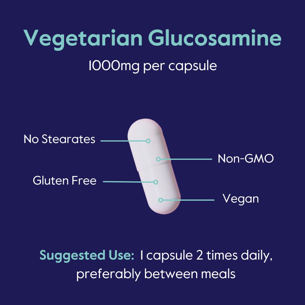 high potency glucosamine 1000 mg capsules
