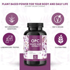 high potency grape seed supplement