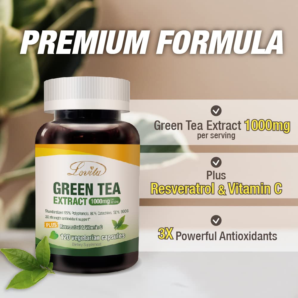 high potency green tea extract