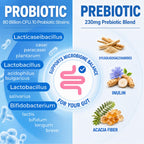high potency gut health supplement