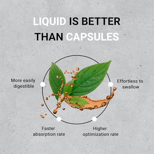 high-potency herbal supplements for men