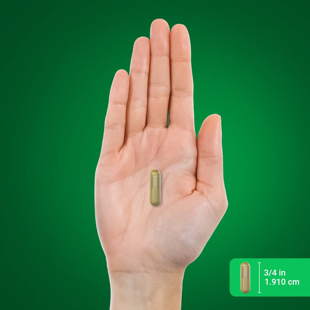 High potency horsetail for vitality