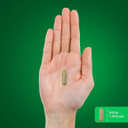High potency horsetail for vitality