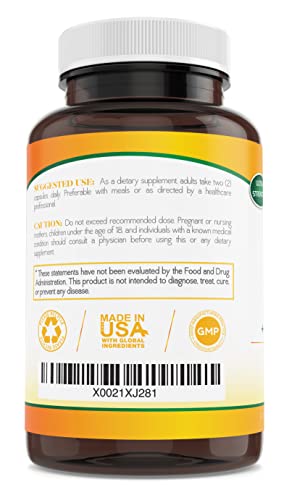 high potency immune function supplements