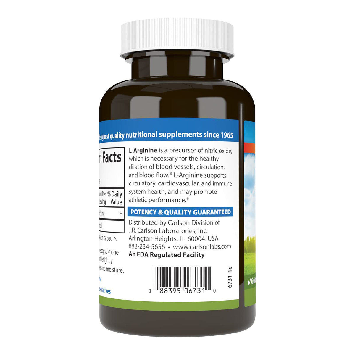 high potency L-Arginine supplement