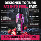 high potency L-Carnitine 3000 mg