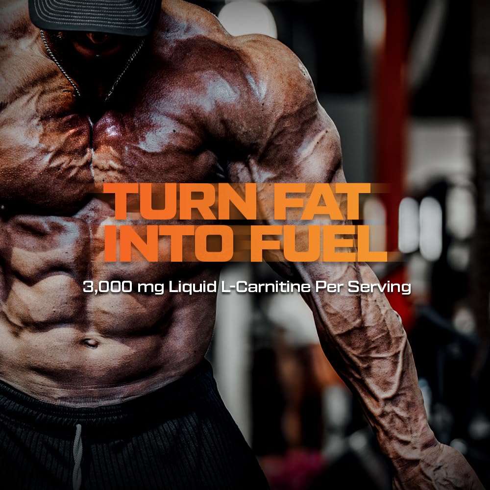 high potency L-Carnitine 3000 mg