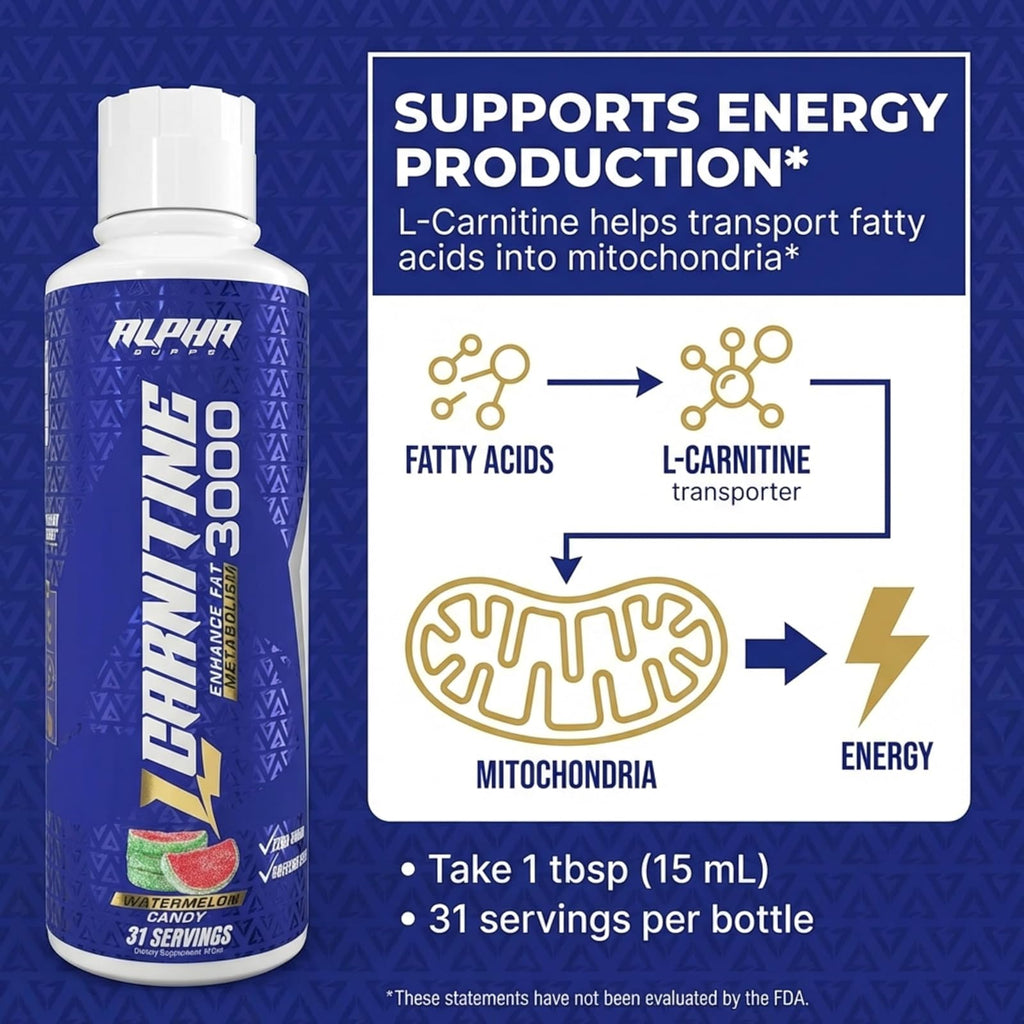 high potency l-carnitine supplement