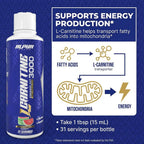 high potency l-carnitine supplement