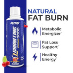 high potency l-carnitine supplement
