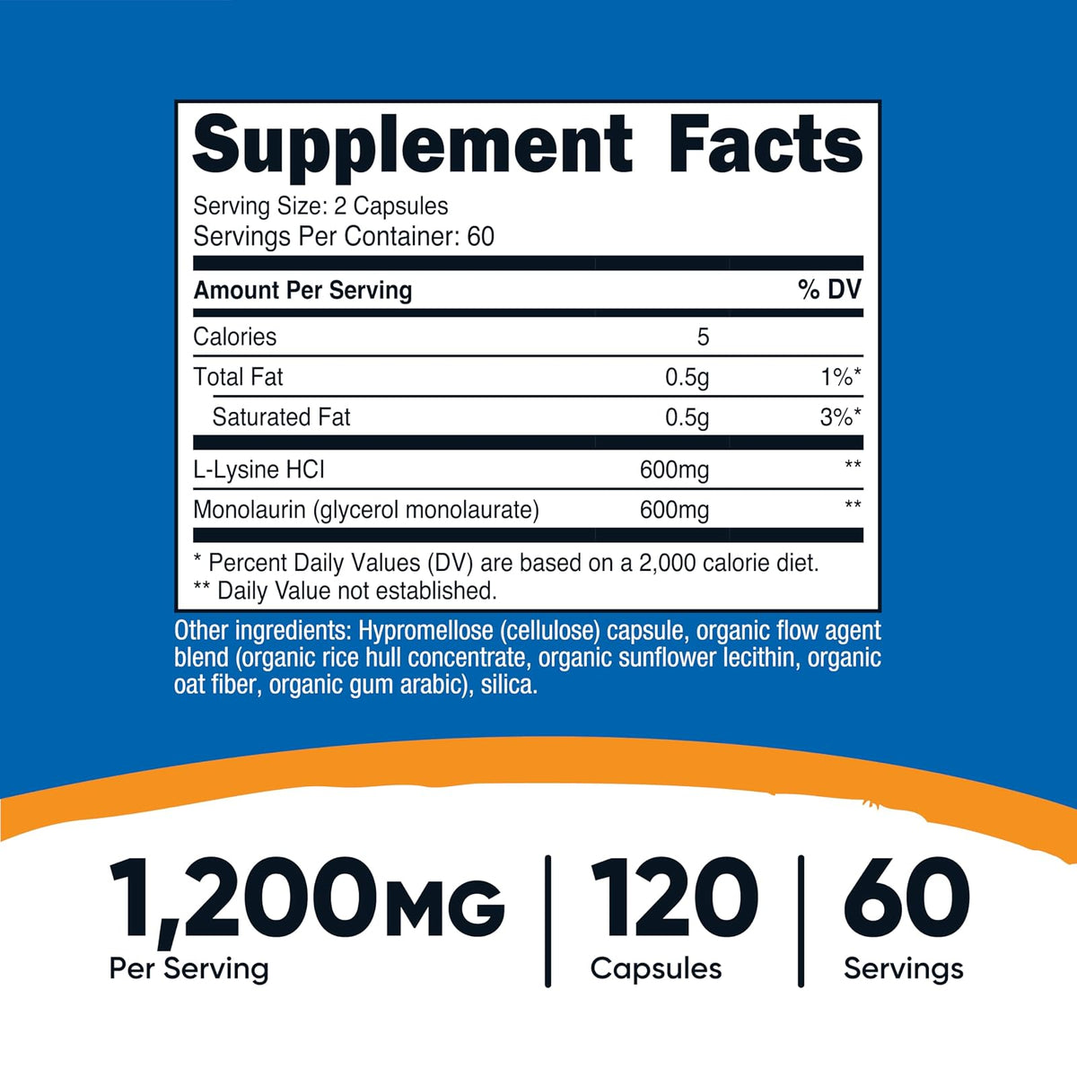 high potency L-Lysine for muscle recovery