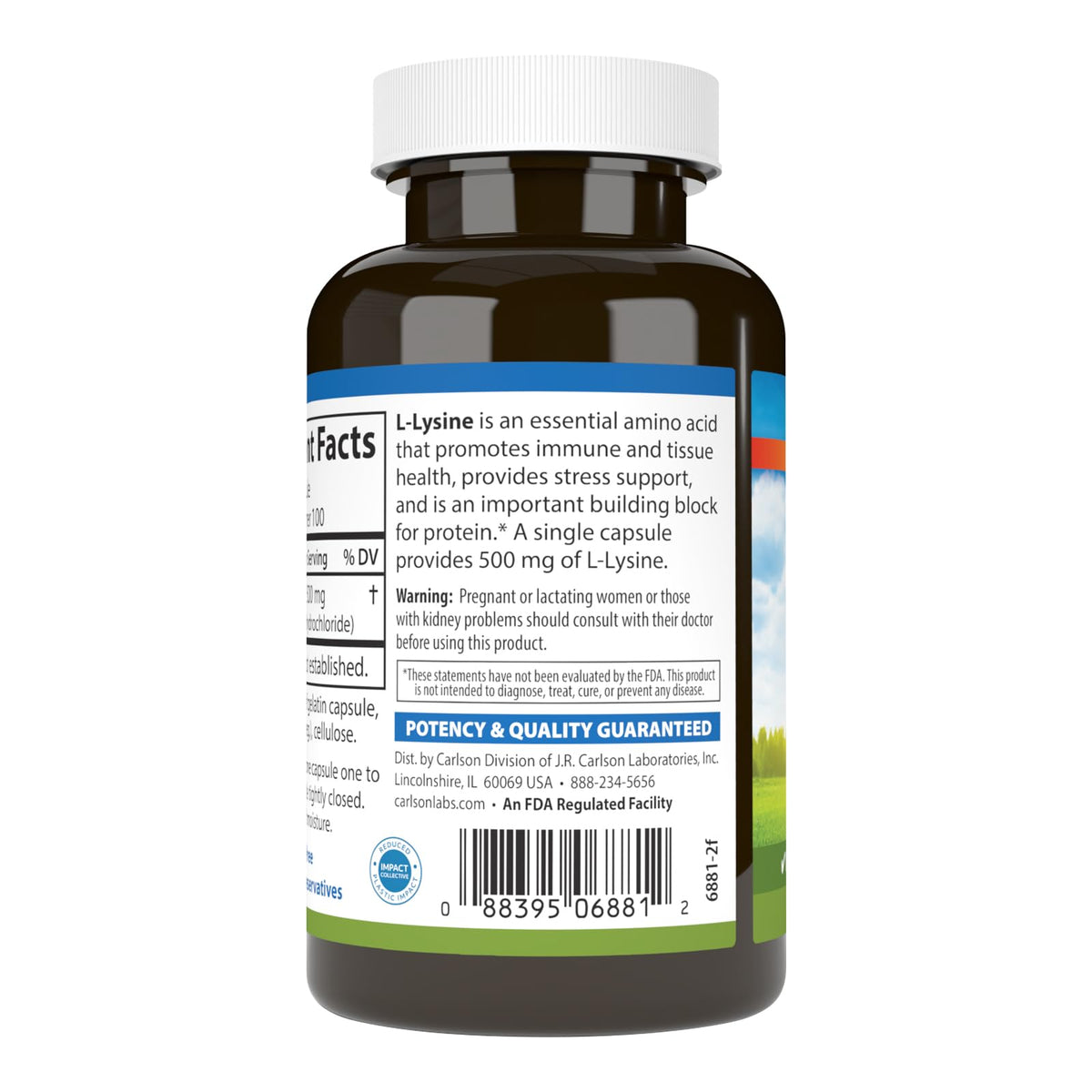 high potency L-Lysine for wellness