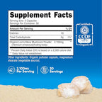 high potency lion's mane capsules