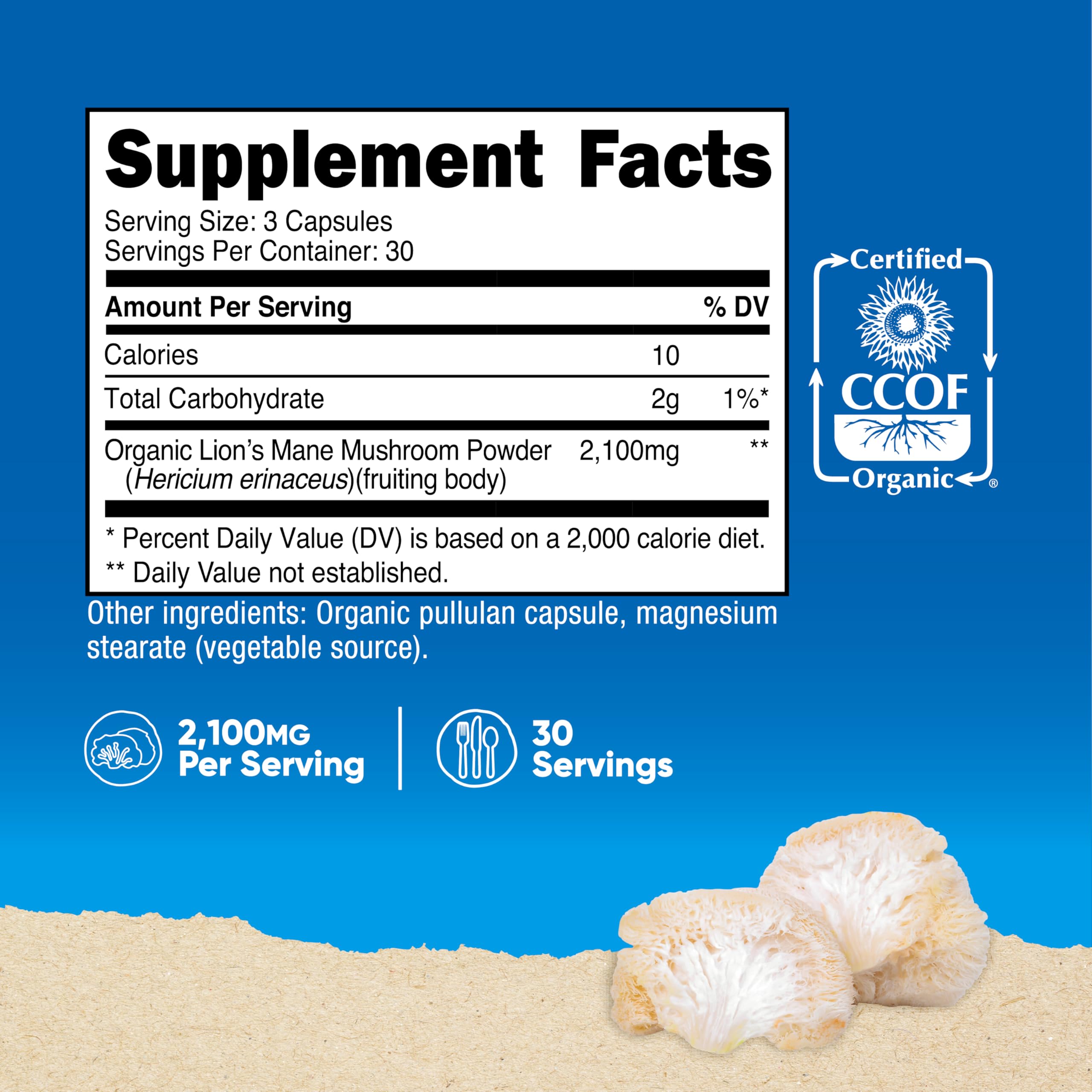 high potency Lion's Mane capsules