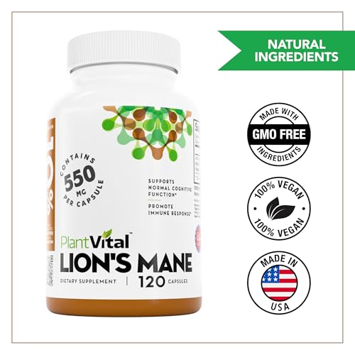High potency Lion's Mane extract