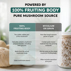 high potency lion's mane extract