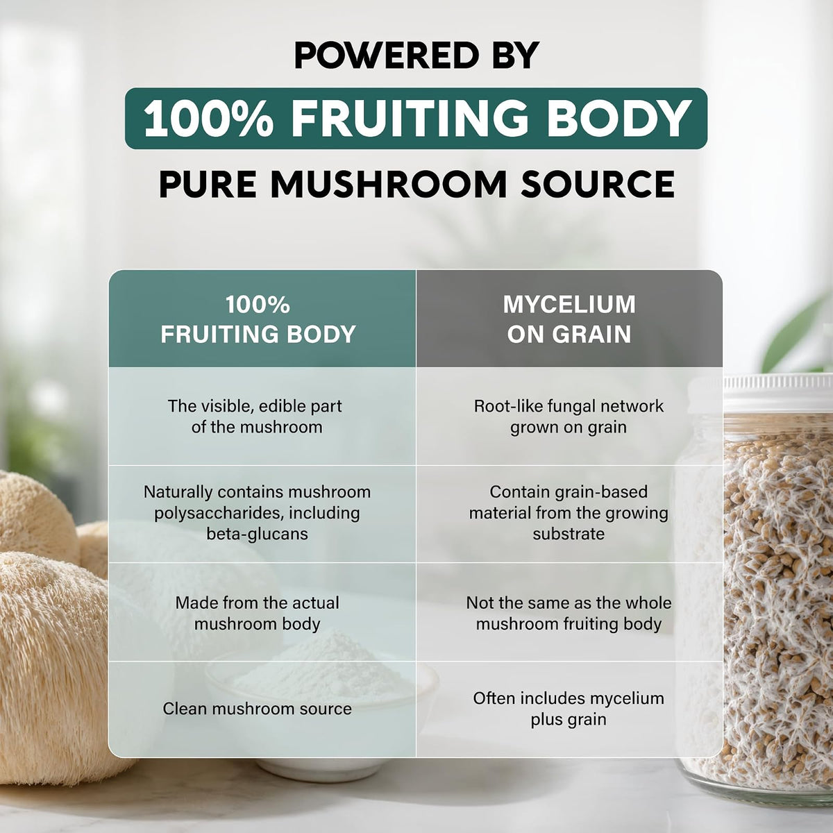 high potency lion's mane extract