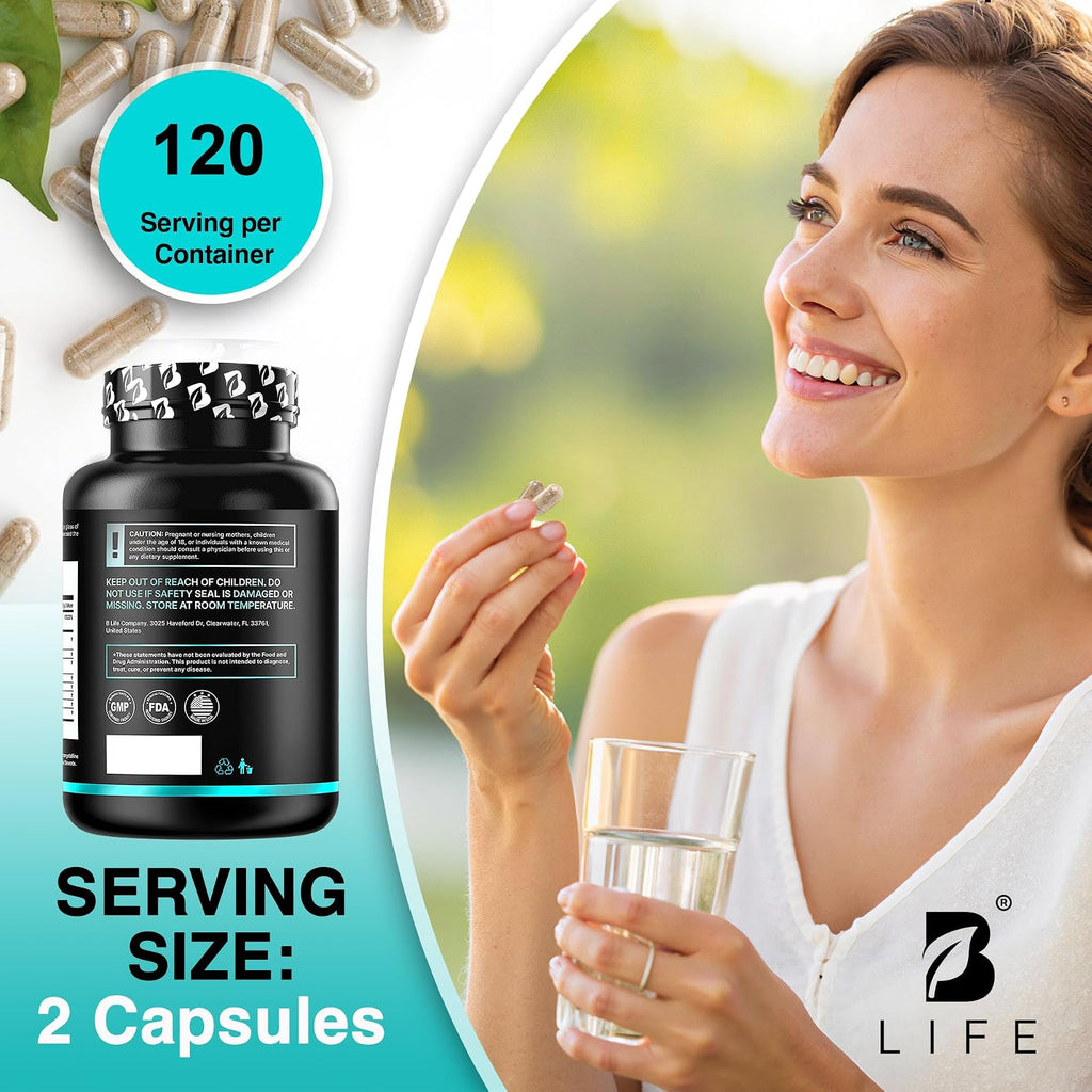high potency lion's mane for overall vitality