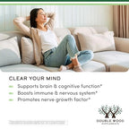 high potency lion's mane supplement