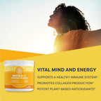 high potency liposomal vitamin c