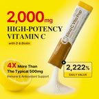 high potency liposomal vitamin C