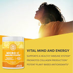 high potency liposomal vitamin c