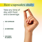 High potency liposomal vitamin C