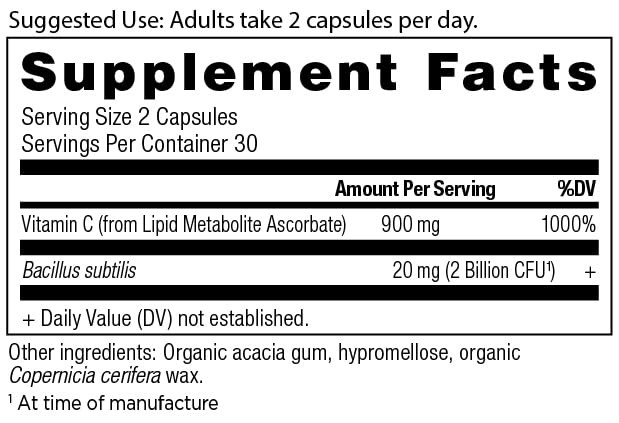 high potency liposomal vitamin C