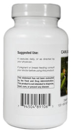 High potency liposomal vitamin C