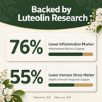 High potency luteolin for health