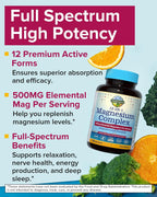 high potency magnesium bisglycinate