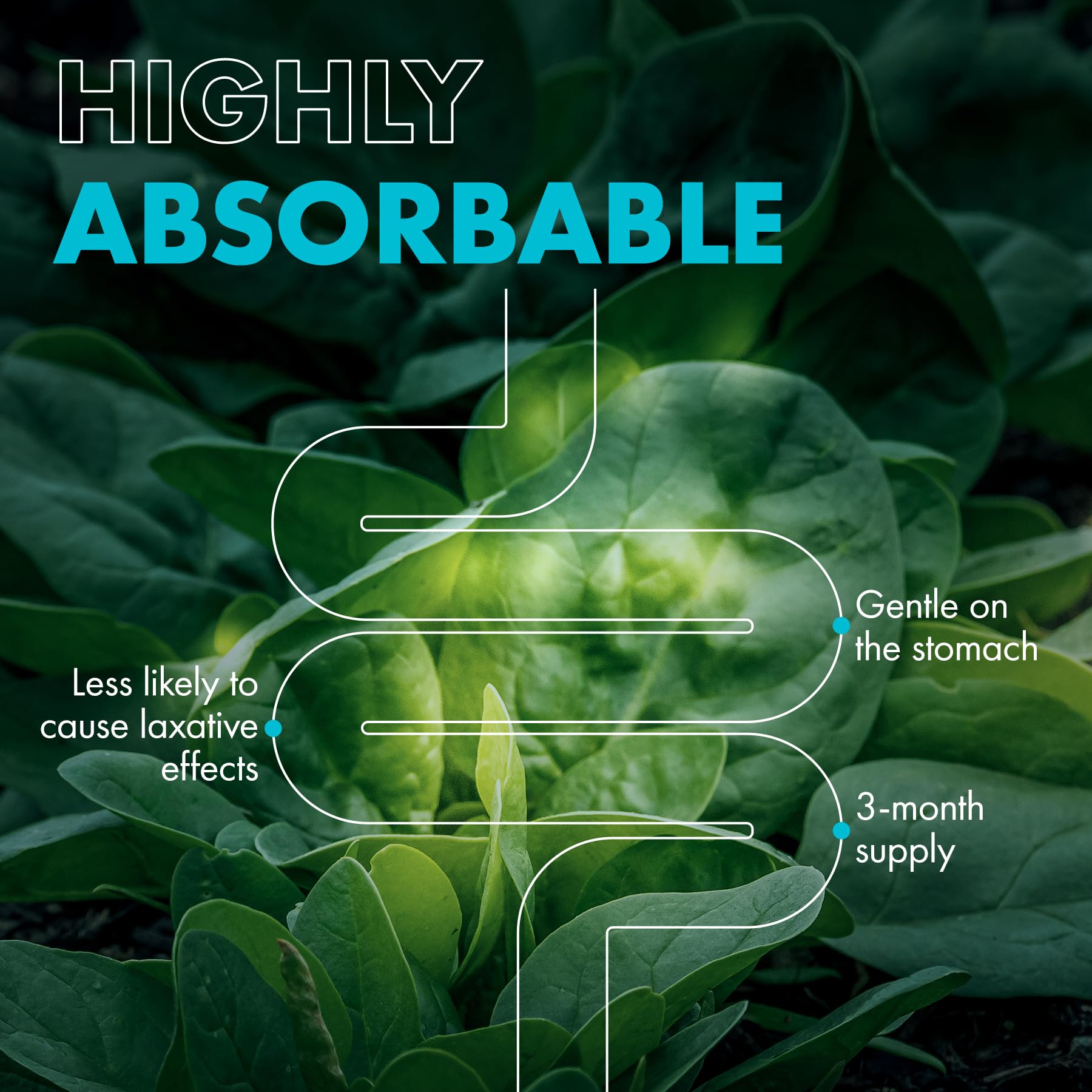 high potency magnesium for overall wellbeing