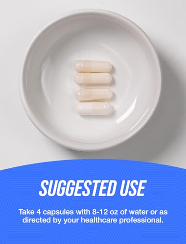 high potency magnesium malate 400 mg