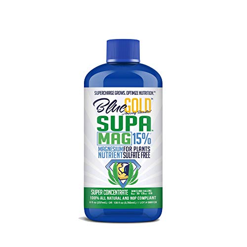 high potency magnesium supplement