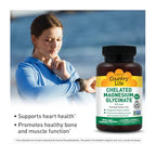 High potency magnesium supplement