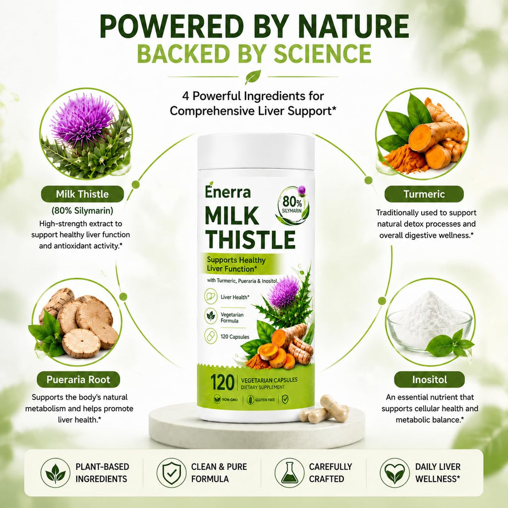 high potency Milk Thistle 80% silymarin
