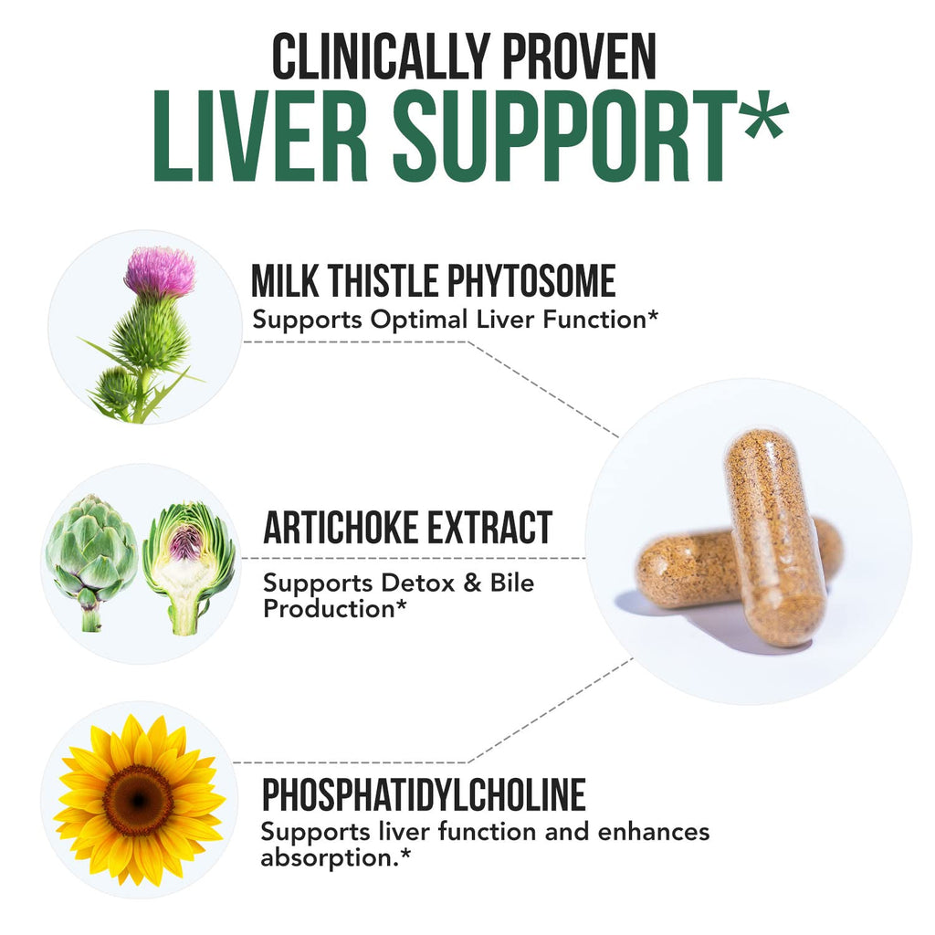 high potency milk thistle extract
