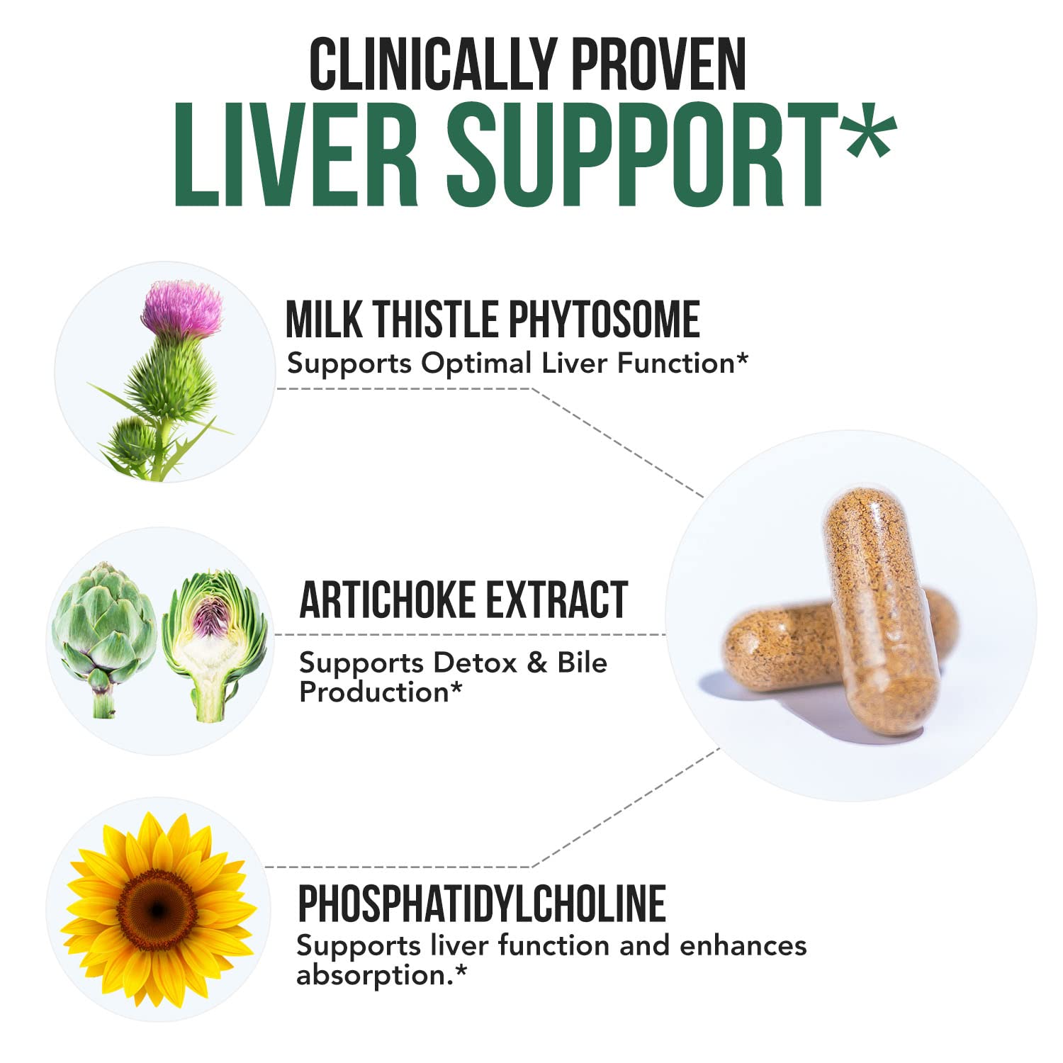 high potency milk thistle extract