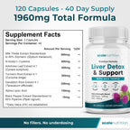 High potency milk thistle extract