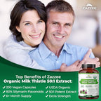 high potency milk thistle extract
