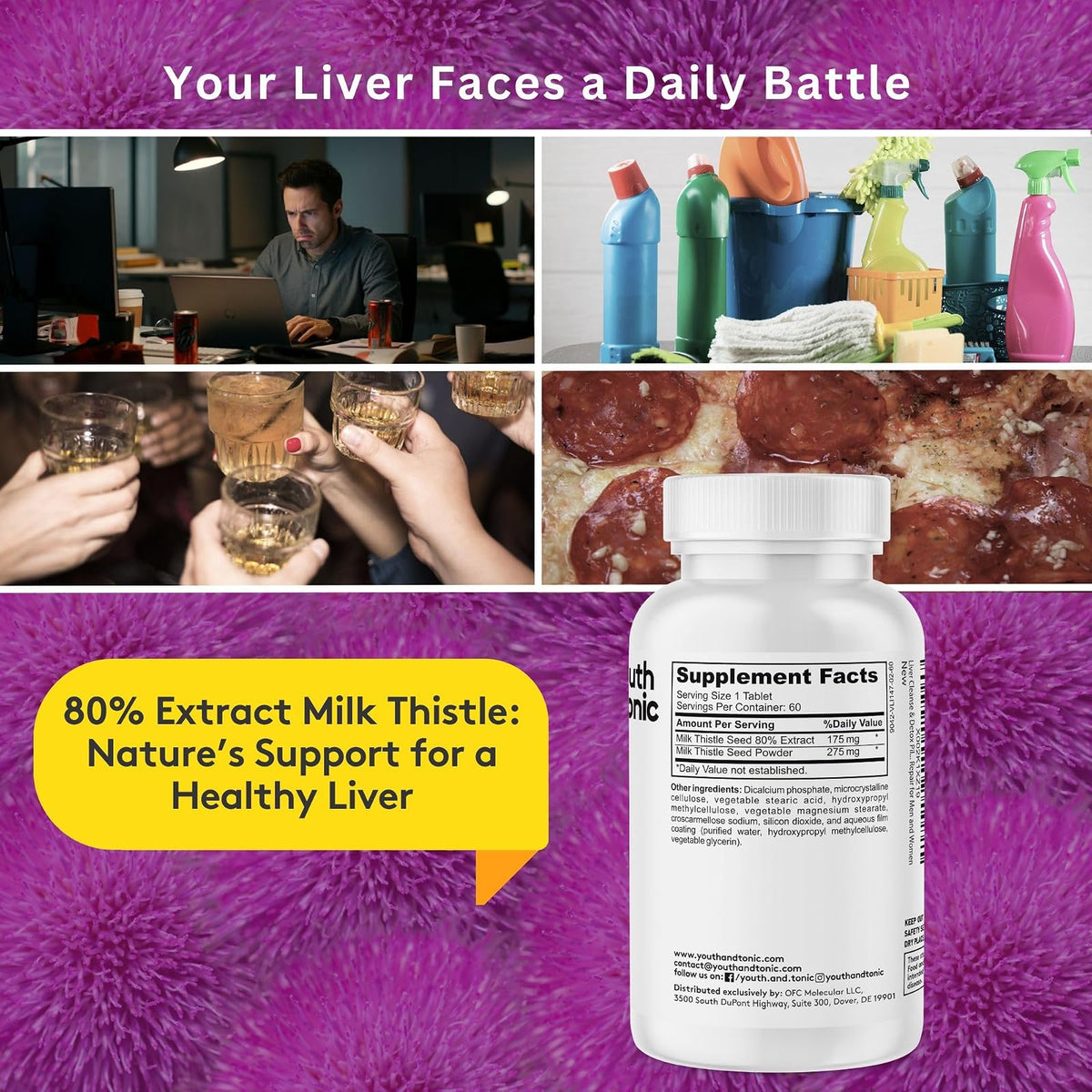 high potency milk thistle extract