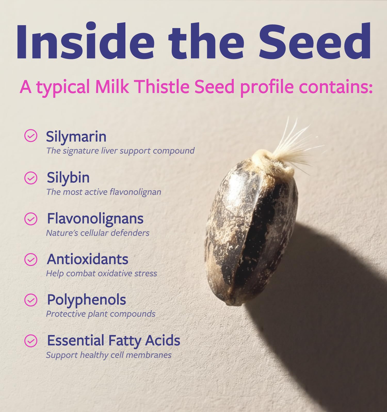 high potency milk thistle extract